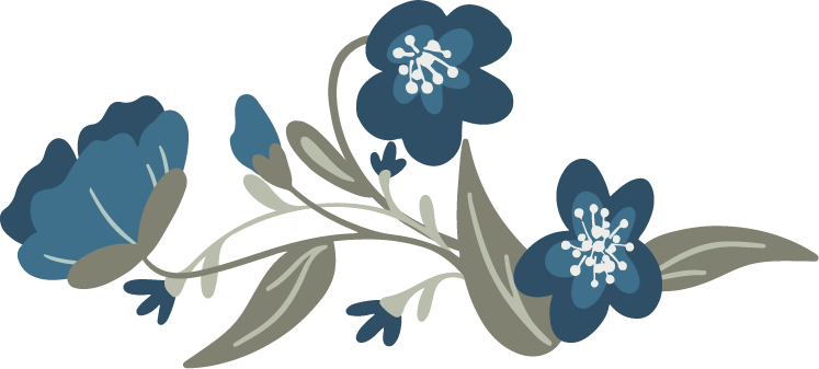 Krystal Winn – surface pattern designer, illustrator & artist